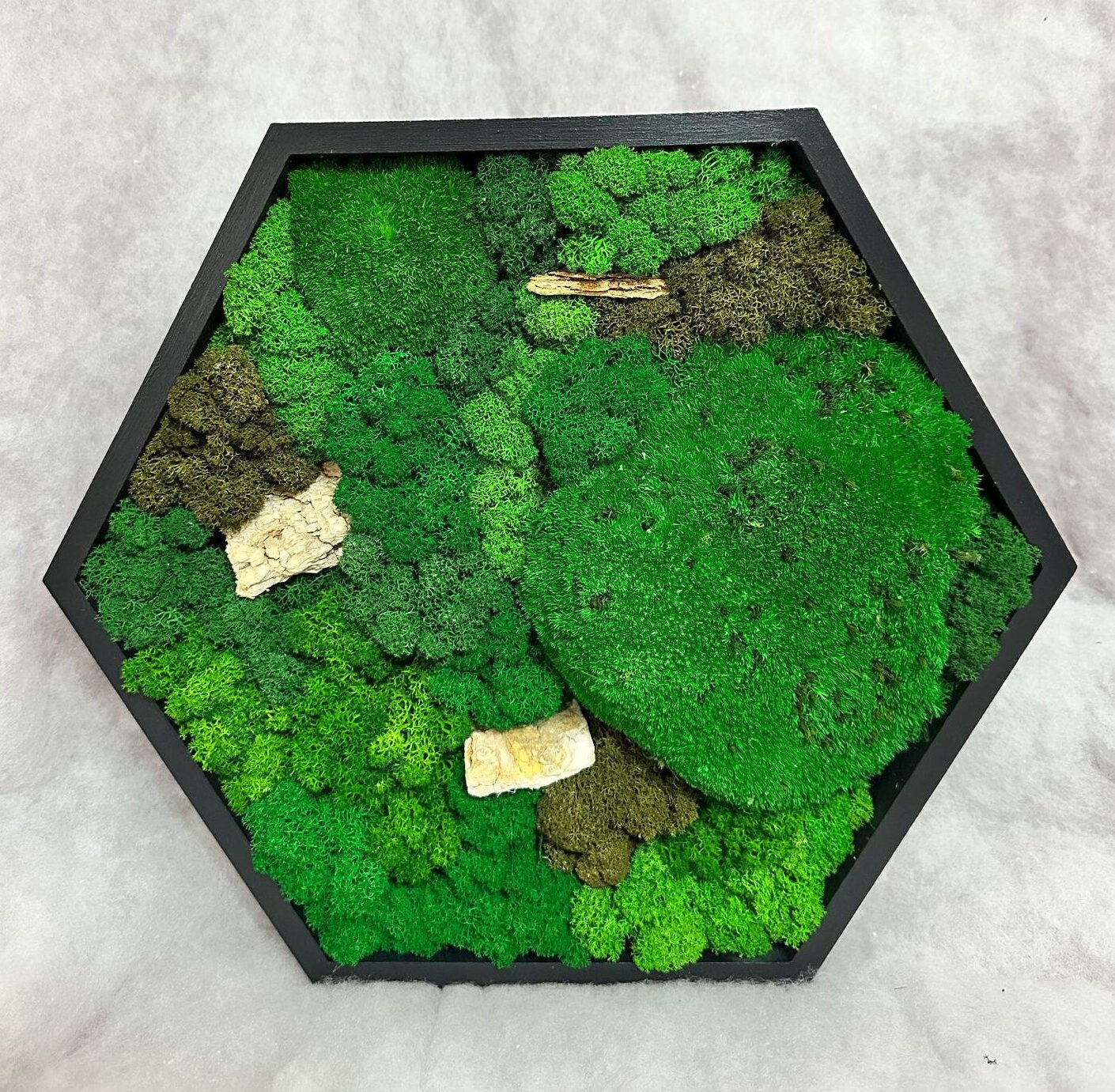 Tablou Licheni Esență Verde - Crafty Depot