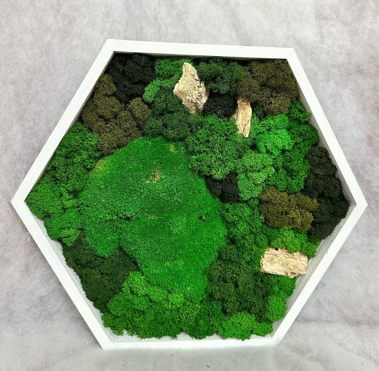 Tablou Licheni Nucleul Verde - Crafty Depot